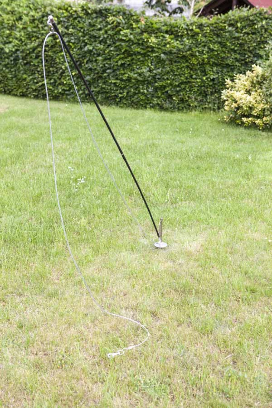 Flexi Pole - Dog Sporting - Gappay